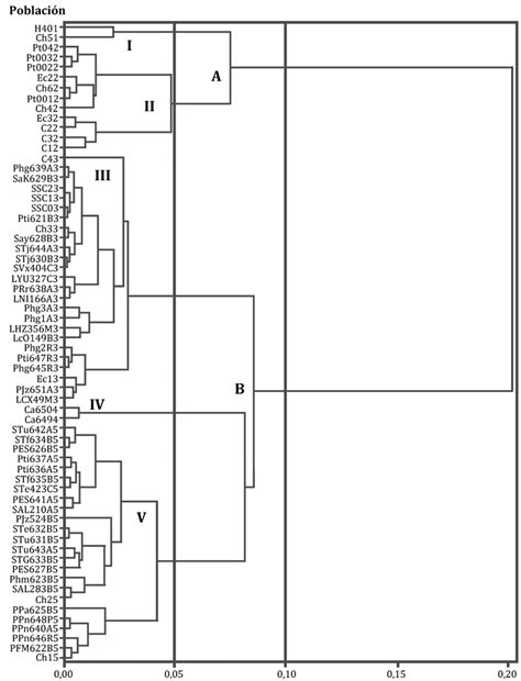 Morphological Variation Pattern Of Maize Landraces And Racial And Download Scientific Diagram