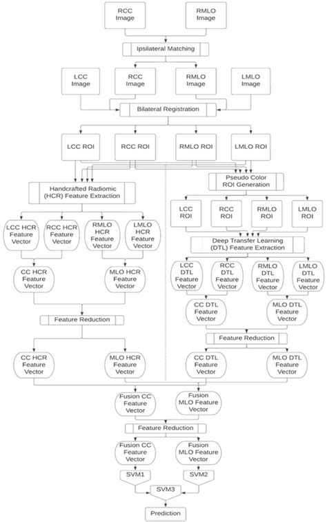 A Multi Stage Fusion Framework To Classify Breast Lesions Using Deep