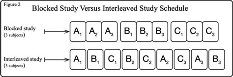Inside Evidence Based Learning Strategies Mind Brain Education