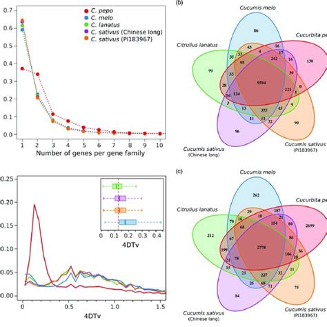 Genome Annotation Summary Download Table
