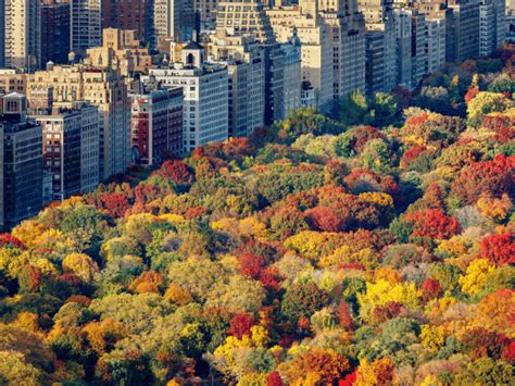 Central Park Fall Foliage Map Discover Nyc