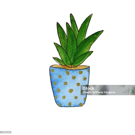 화분에 수채화 선인장 흰색 배경에 격리 된 손으로 그린 스케치 그림 0명에 대한 스톡 벡터 아트 및 기타 이미지 0명 꽃