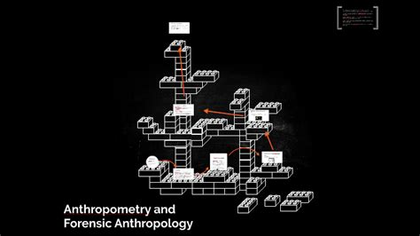 Anthropometry And Forensic Anthropology By Kaz Sosnkowski On Prezi