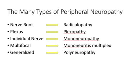 8 Peripheral Nerve Disorders And Cranial Nerve Palsies Flashcards Quizlet