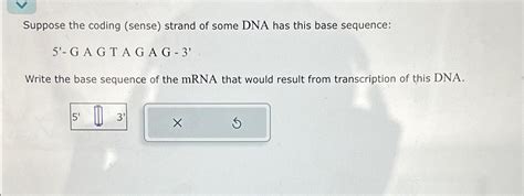 Solved Suppose The Coding Sense Strand Of Some DNA Has Chegg Com