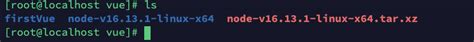 Linux系统安装vue环境并启动服务linux Vue Csdn博客