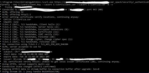 Elasticsearch SSL TLS PKI Realm Setup Elasticsearch Discuss The