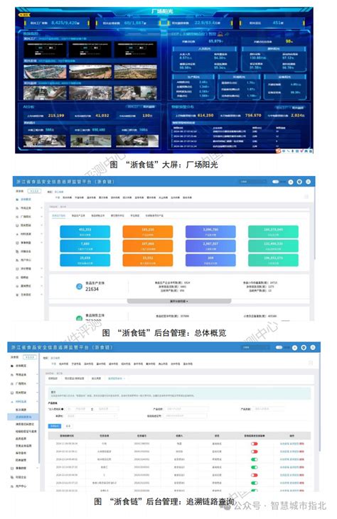 2024年数字政府服务能力优秀创新案例汇编（附下载） 技术栈