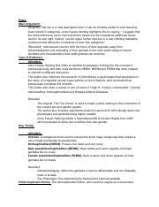 The Five Sexes Documents Course Hero