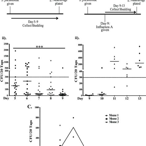 Quantification Of Bacterial Shedding From The Nares Of Pups Infected