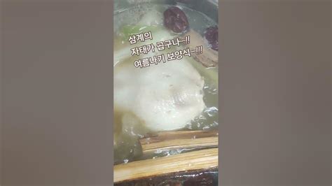 홍랑임영웅삼계탕보양식여름나기더위사냥 Youtube