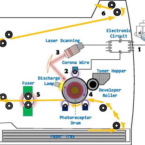 Laser Printer Parts Name Reviewmotors Co