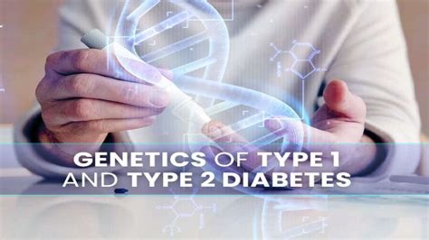 What Is Genetics Of Type 1 And Type 2 Diabetes And How To Prevent If It