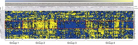 Co Ordinated Dna Repair Gene Expression Cluster Identified By Download Scientific Diagram