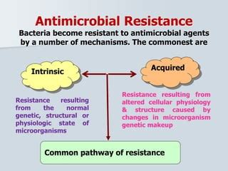 13antimicrobial Resistancepptx