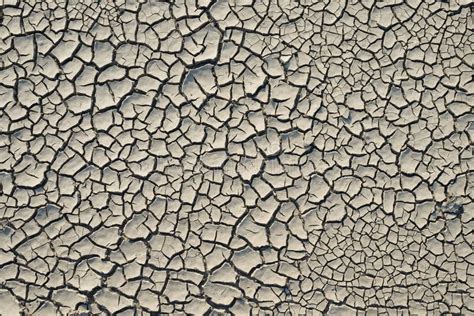 Cracked Mud Texture Close Up