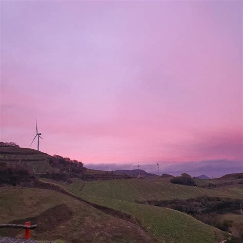 [평창 캠핑] 강릉 안반데기 관광농원 토리랑 강원도 평창 차박 여행 네이버 블로그