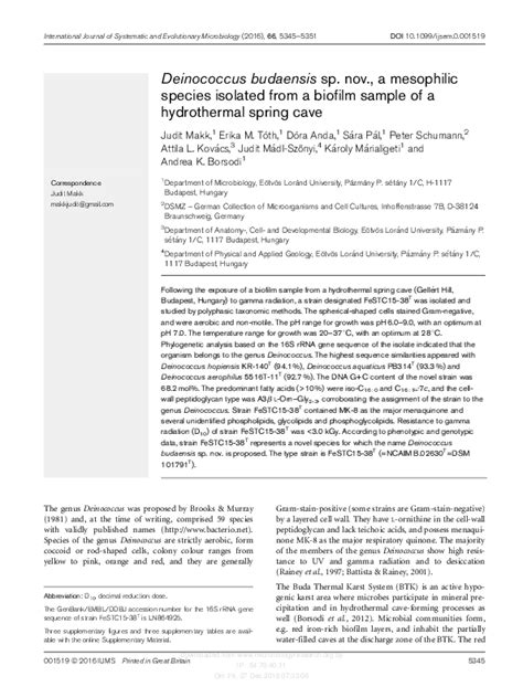 Deinococcus Budaensis Sp Nov A Mesophilic Species Isolated From Biofilm Sample Of A