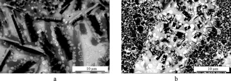 Edx Image Of The Microstructure Of A Ti 6al 4v B4c Sample With A Ratio Download Scientific