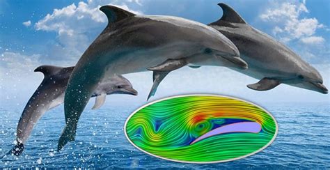 Computational Fluid Dynamics Simulation Erke Wang