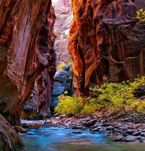 The Narrows In Zion National Park Of Utah Usa National Park Photos