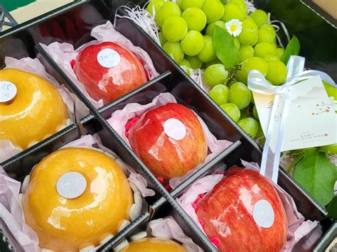 진주 신선 마트 Jin Ju Fresh 마트 Band