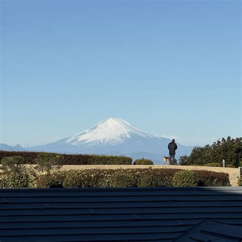 Image Gallery Yutong