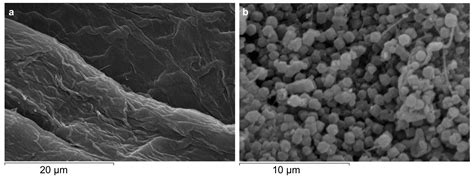 Cellulosezeolitic Imidazolate Framework Zif 8 Composites With