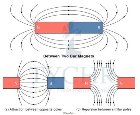 Ibdp Physics Chapter 5 Notes Tychr