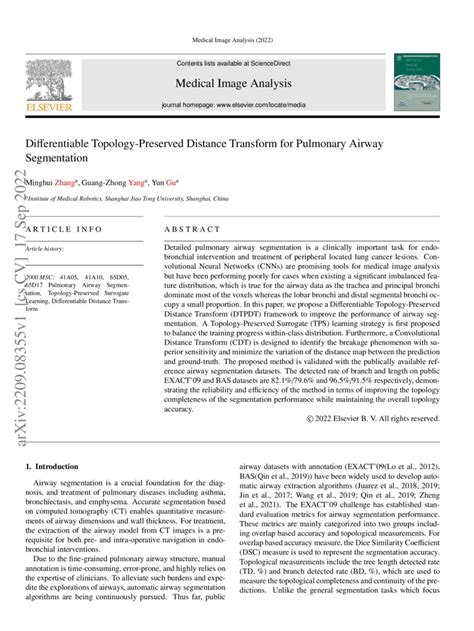 Differentiable Topology Preserved Distance Transform For Pulmonary Airway Segmentation Deepai