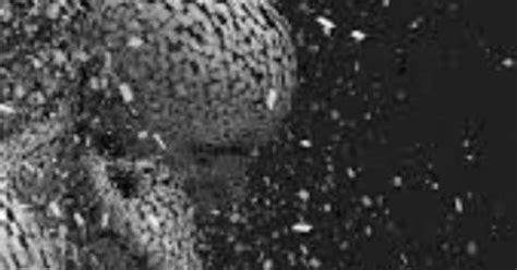 Día Internacional Para La Prevención Del Suicidio