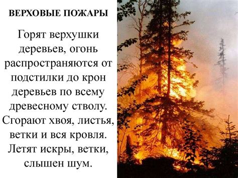 Лесные пожары Причины возникновения презентация онлайн