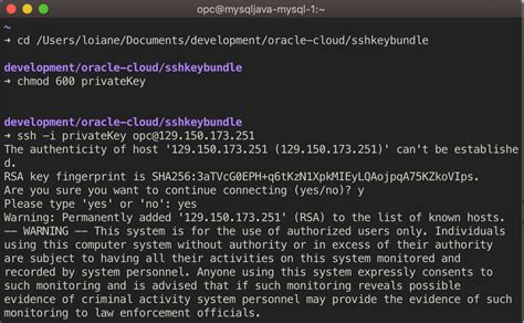Setting Up MySQL On Oracle Cloud Connecting With MySQL Workbench