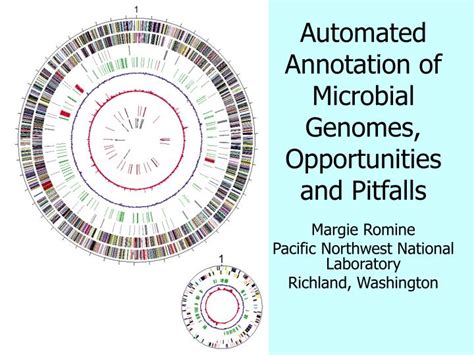 Ppt Automated Annotation Of Microbial Genomes Opportunities And Pitfalls Powerpoint