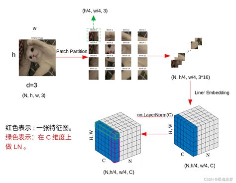 【神经网络架构】swin Transformer细节详解 1window Partition Csdn博客