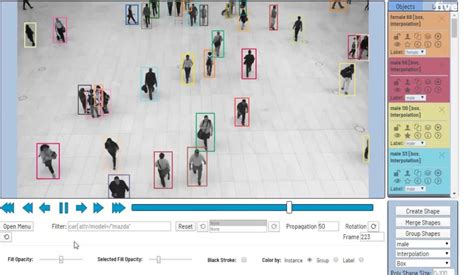 Polygons Boxes And Segmentation For Image And Video Annotations Upwork