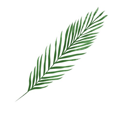 Single Leaf Illustration Aqua Color 41642793 Png