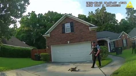 Необичаен арест Полицаи „задържаха” алигатор нахлул в частен дом ВИДЕО Nova