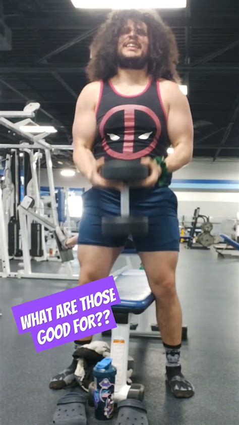 Every Excersizes Has A Purpose If You Find One 😹😂 Personaltrainer Fitness Gym Cat