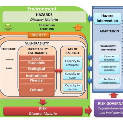 Conceptual Framework Of Risk Modified From The MOVE And HEALTHY Download Scientific