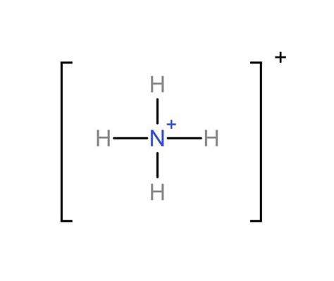 Write A Lewis Structure For Each Of The Following Polyatomic Quizlet