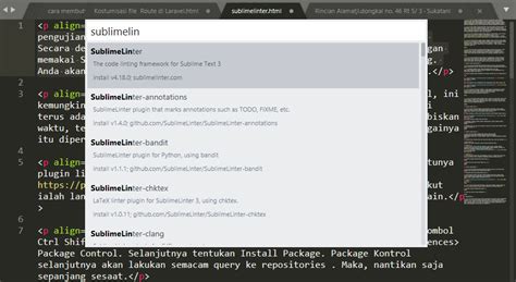 Cara Install Linter Dan Cara Menggunakan Linter Untuk Debugging Crudpro