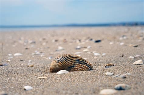 포스터 또는 배경으로 적합 한 고해상도의 다양 한 좋은 품질의 사진 0명에 대한 스톡 사진 및 기타 이미지 0명 갈색 개념 Istock