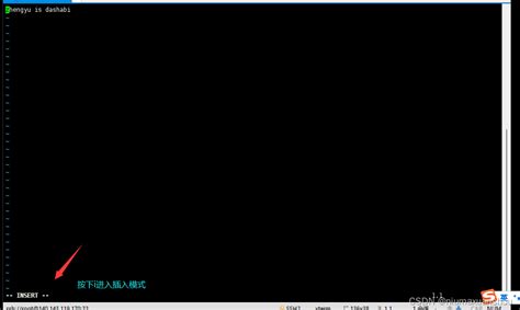 linux常用命令详解：从基础到高级 csdn博客