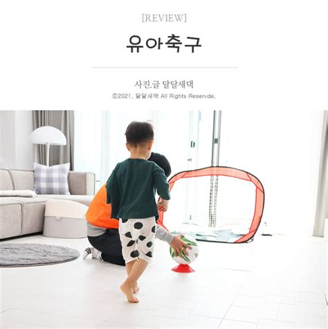 유아축구도 푸른나무 유아체육 네이버 블로그