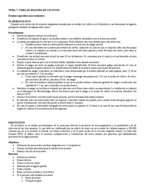 Ii Parcial Itpp Iii 1 Pdf