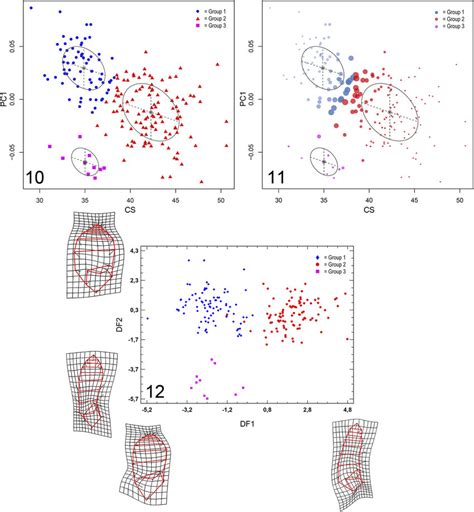 Plots Of The First Principal Component Pc1 Versus Centroid Size Cs