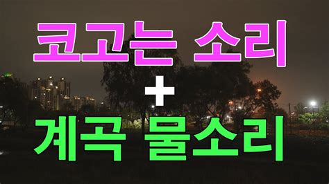 코고는 소리 계곡물소리 백색소음 10시간 입니다 Youtube