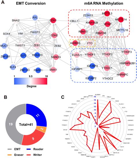 correlations landscape among emt and m6a regulators a the