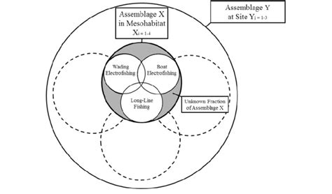 Schematic Illustration Of The Sampling And Analysis Design Smallest Download Scientific